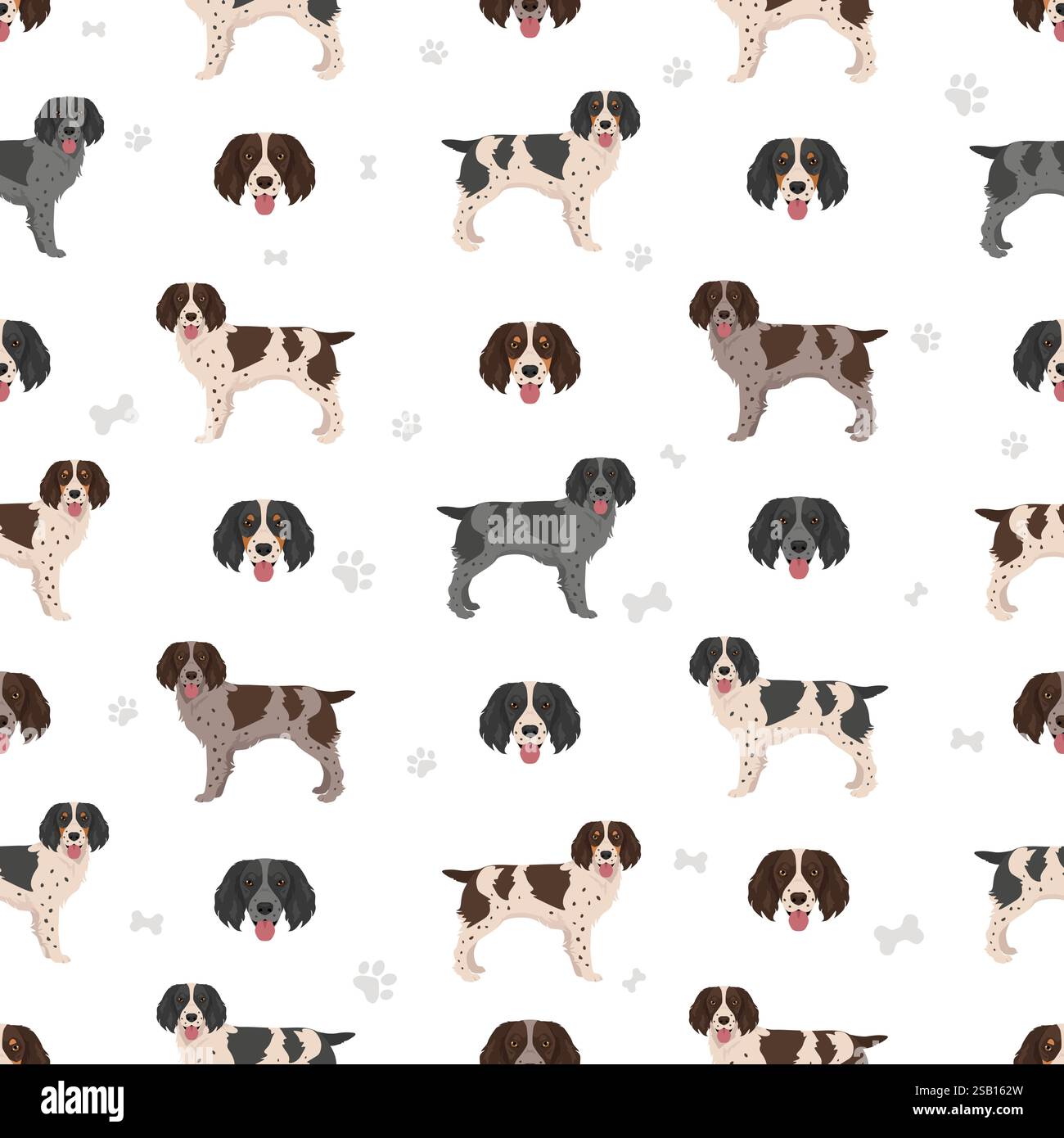 English springer spaniel field bred seamless pattern. Different poses ...
