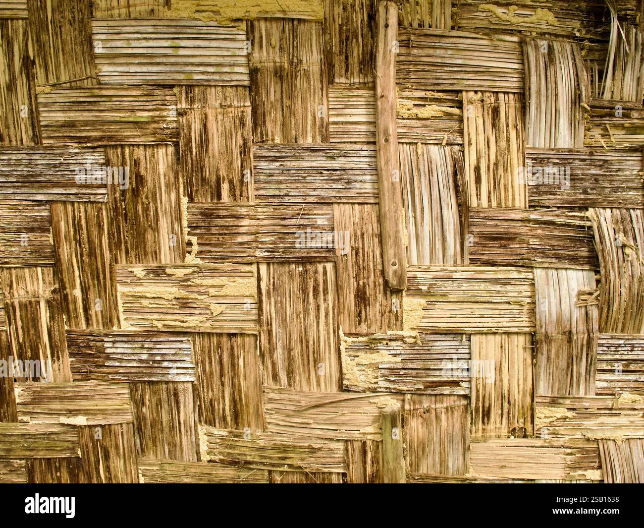Close-up of a weathered woven bamboo wall in a rural house, showing ...
