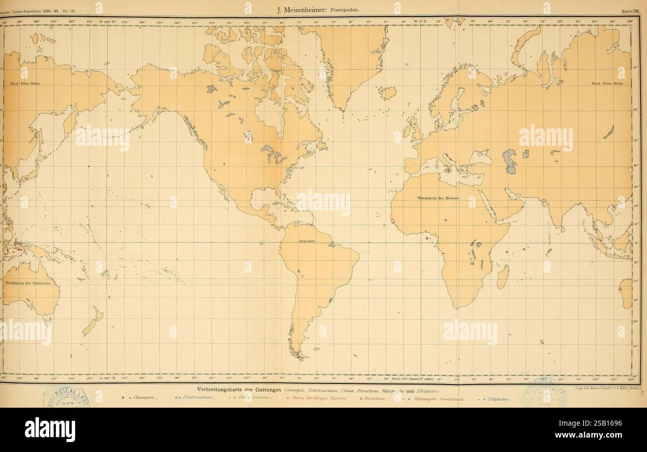 Simple layout enhance hi-res stock photography and images - Alamy