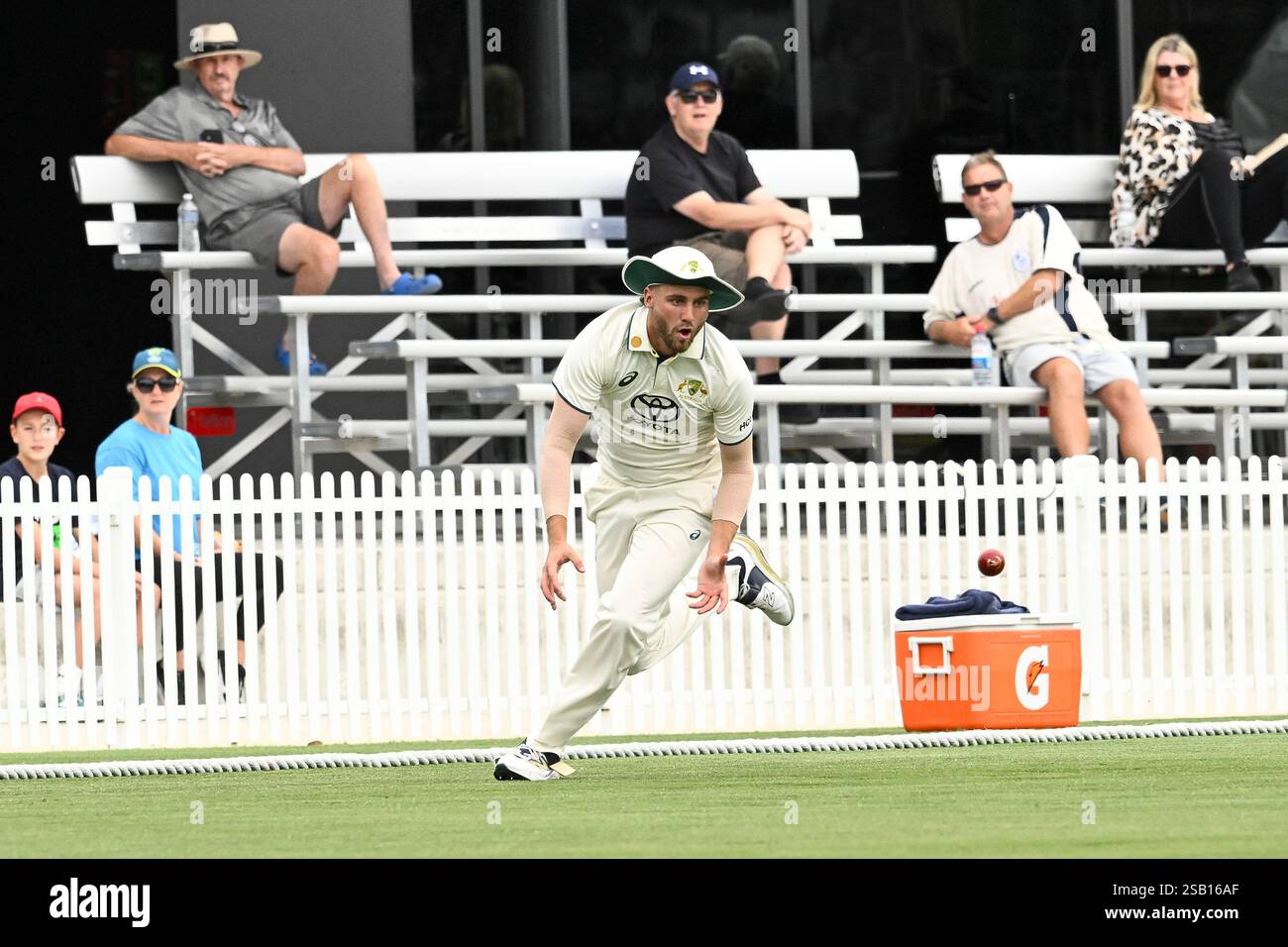 Cricket Central, Sydney, Australia. 31st Jan, 2025. International ...