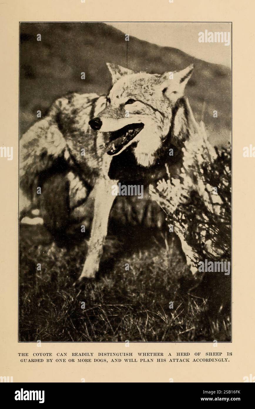 Human adapt to environment hi-res stock photography and images - Alamy