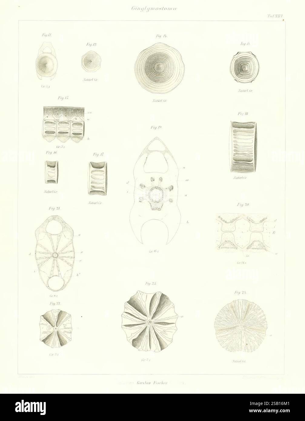 Geometrically symmetrical structures hi-res stock photography and ...