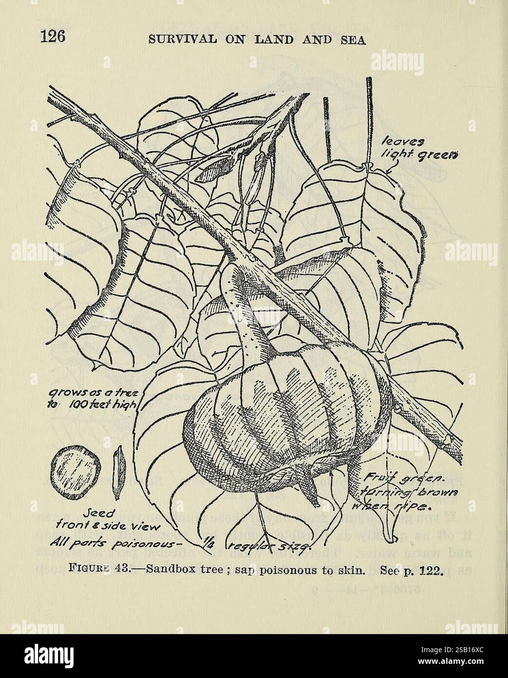 Survival on land and sea Washington Publications Branch Office of Naval ...