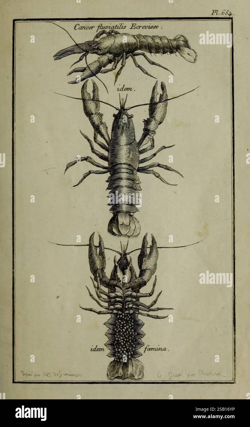 Description, Vertus et Usages de Sept Cents Dix-Neuf Plantes, Paris, P ...