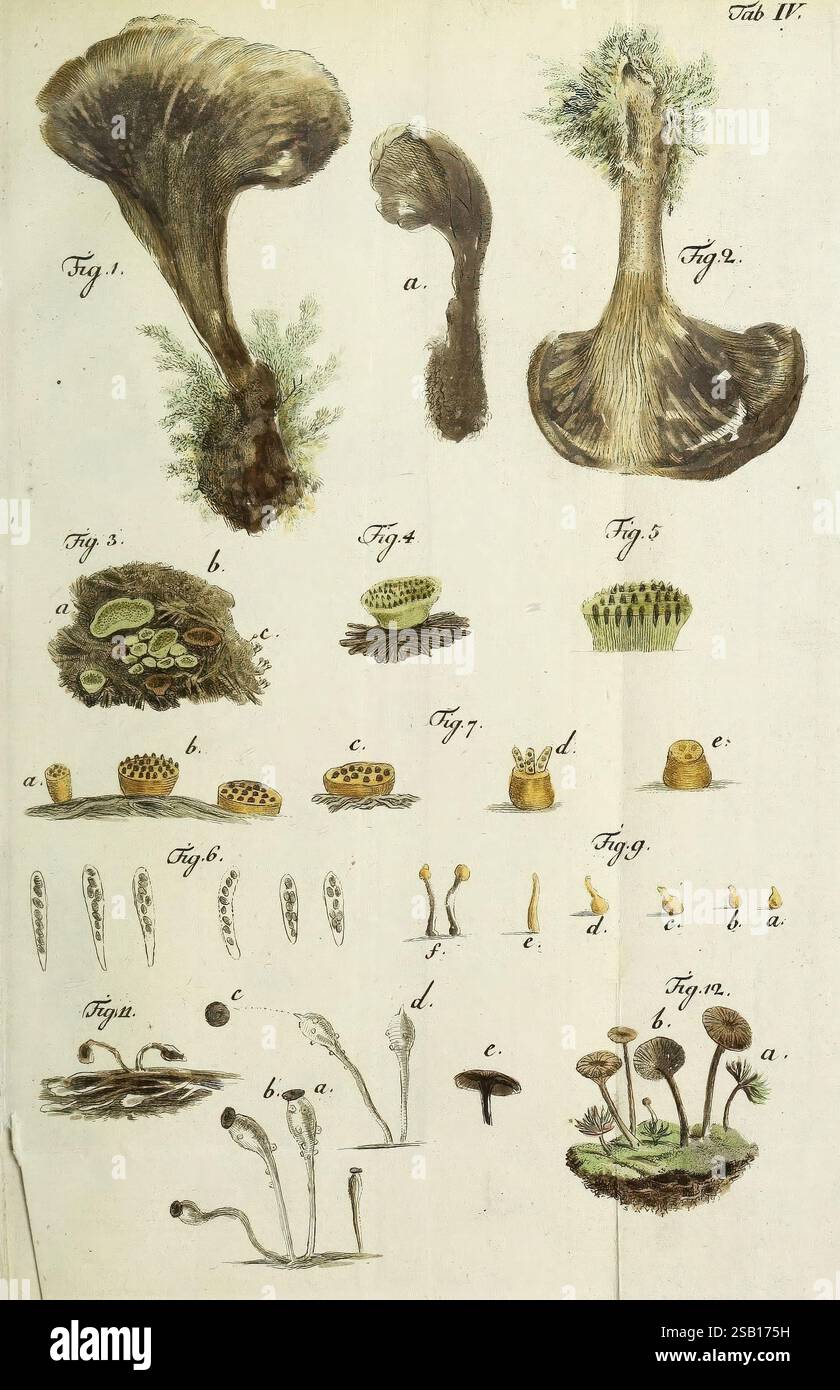 Top section displays two prominent hi-res stock photography and images ...