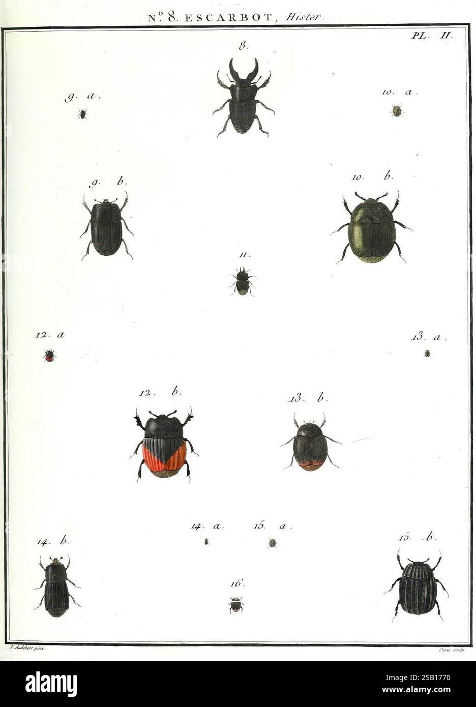 Entomologie ou Histoire naturelle des insectes, Paris, Imp. Baudouin ...