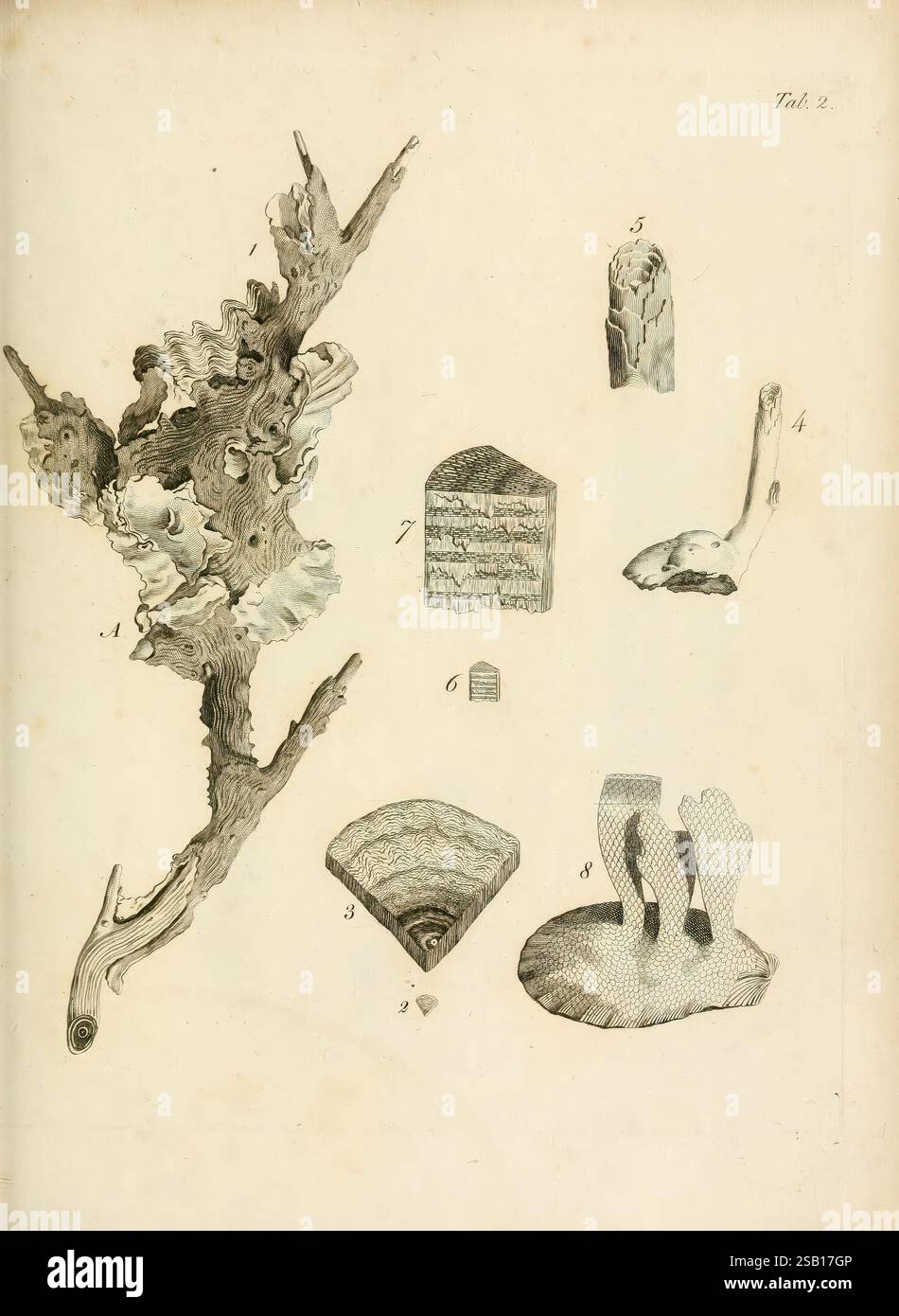 Paris exposition hi hi-res stock photography and images - Alamy