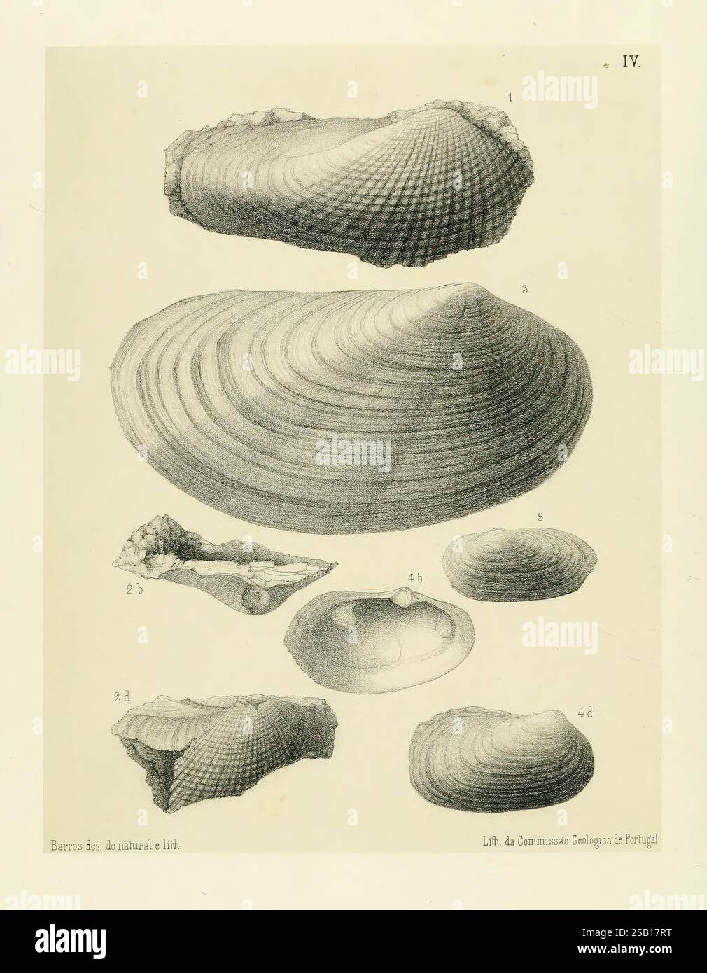 Curved form evoke hi-res stock photography and images - Alamy