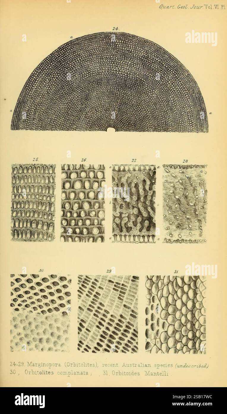 Six individual sections hi-res stock photography and images - Alamy