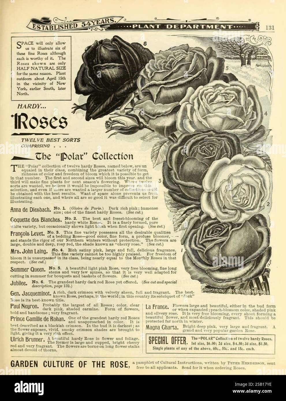 Everything for the garden, New York, Peter Henderson & Co, 1902 ...