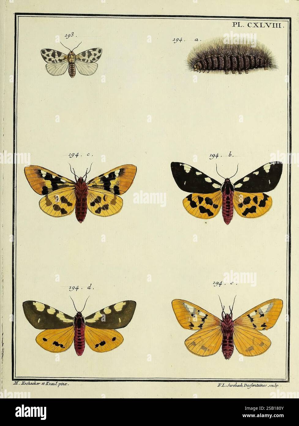 Papillons d'Europe, peints d'après nature, A Paris, Chez P.M ...