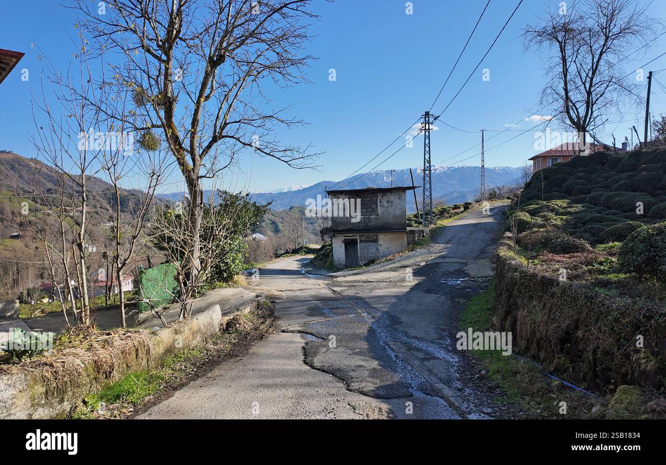 A village view from Rize, Turkey Stock Photo - Alamy