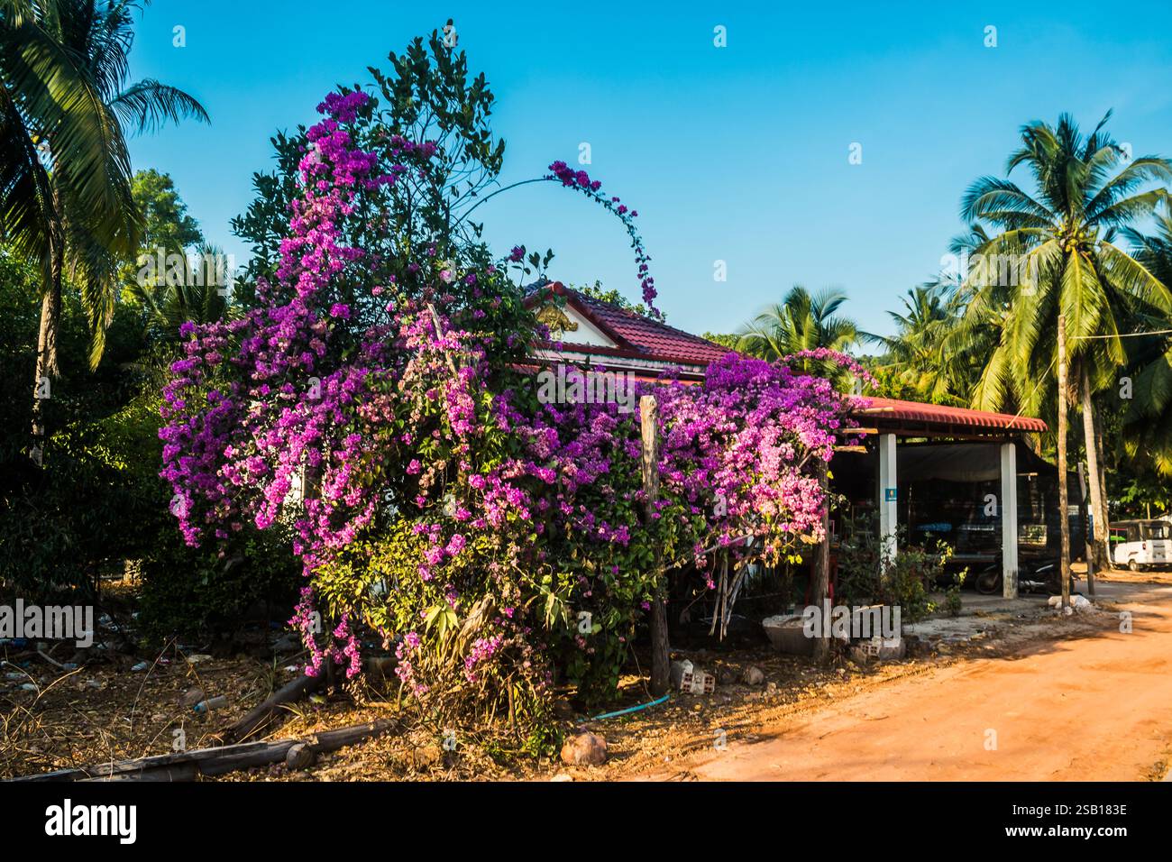 Preak Svay, Koh Rong Island, Cambodia, January 30, 2025 Daily life in ...