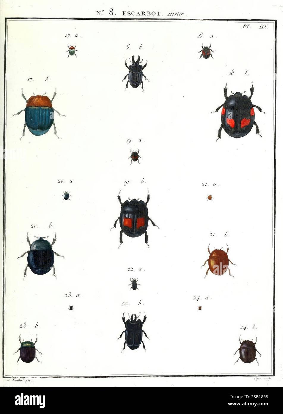Entomologie ou Histoire naturelle des insectes, Paris, Imp. Baudouin ...