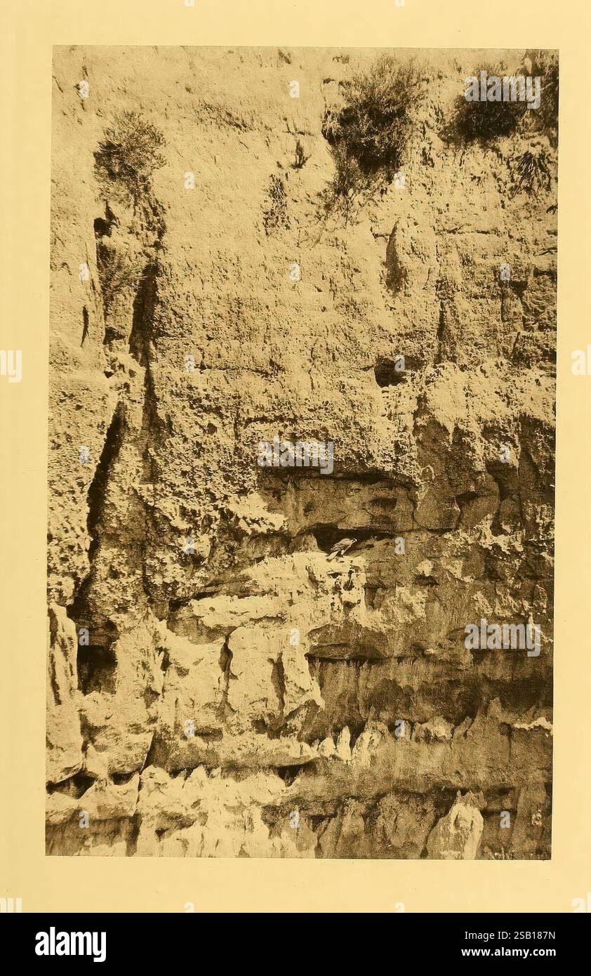 Indicating geological processes hi-res stock photography and images - Alamy