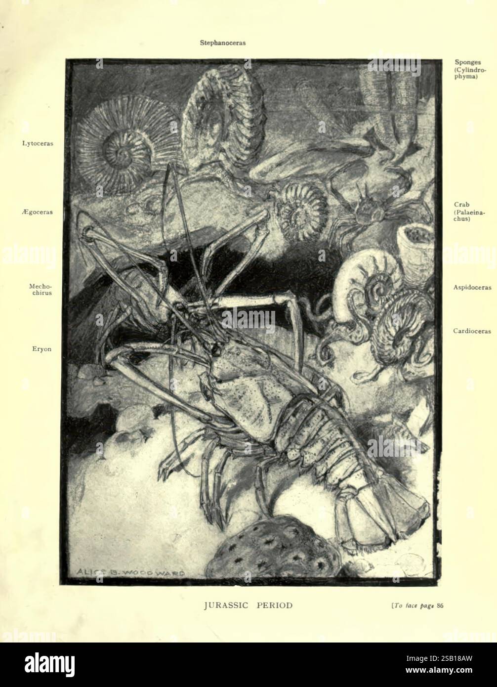Evolution, in the past, London, Herbert, Daniel, 1912, evolution ...