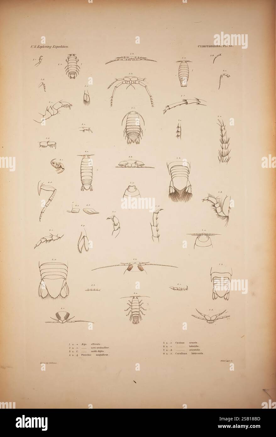 Presenting labeled sections hi-res stock photography and images - Alamy