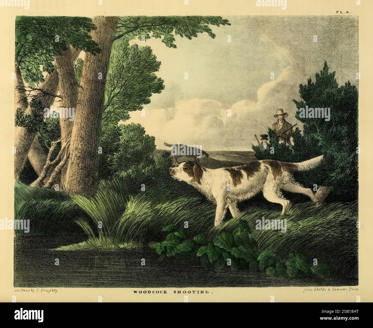 The Cabinet of Natural History and American Rural Sports, animals ...