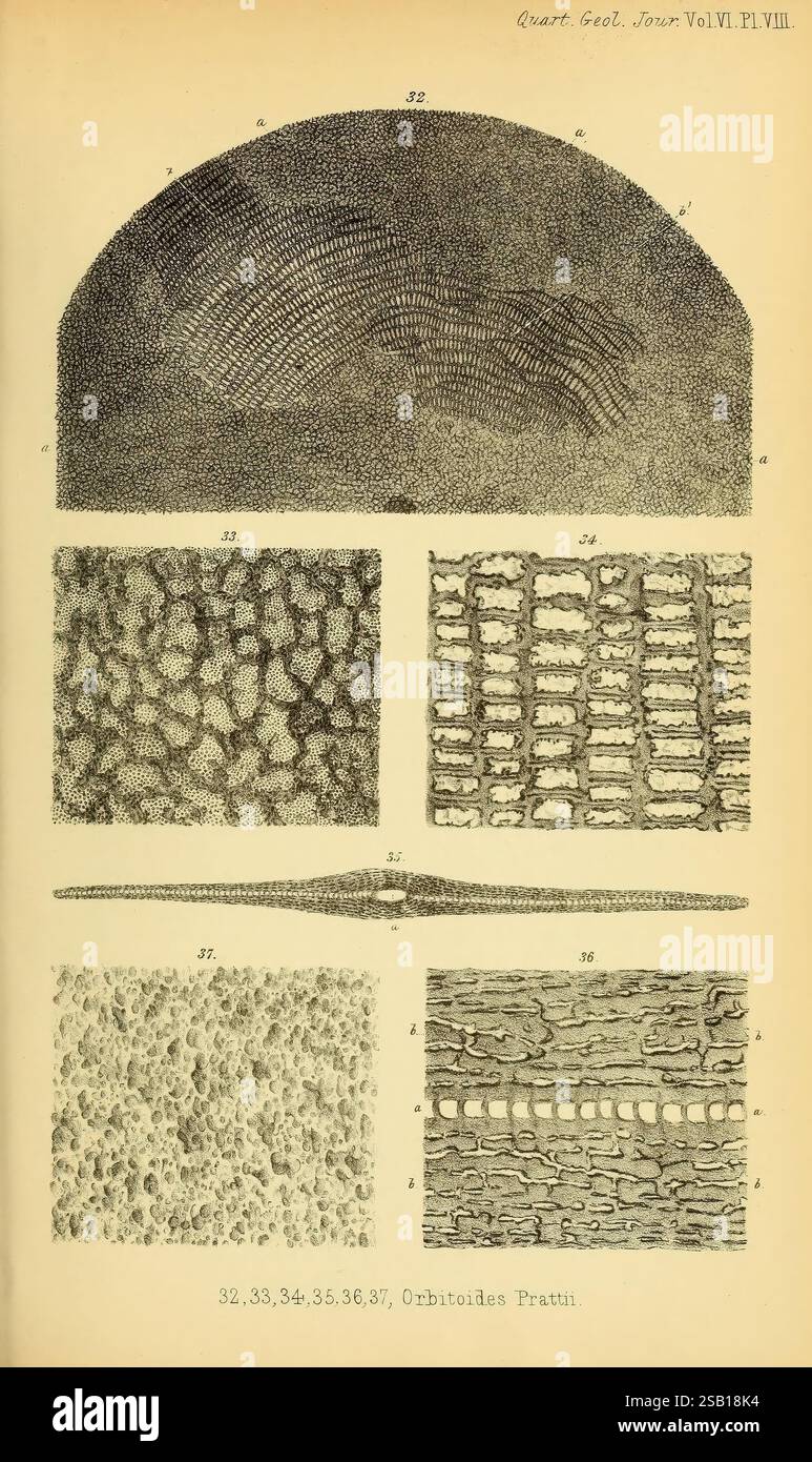 The Quarterly Journal of the Geological Society of London, v. 6 (1850 ...