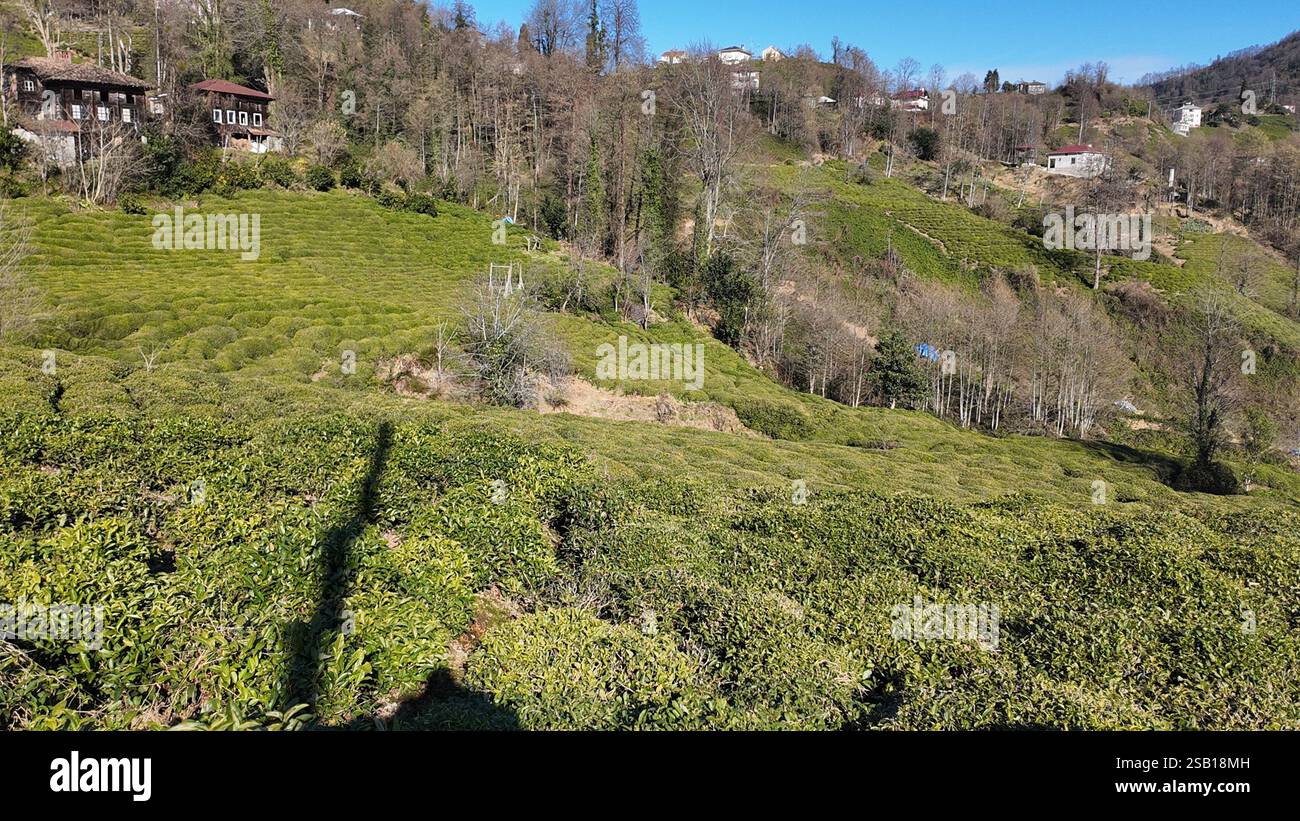 A village view from Rize, Turkey Stock Photo - Alamy