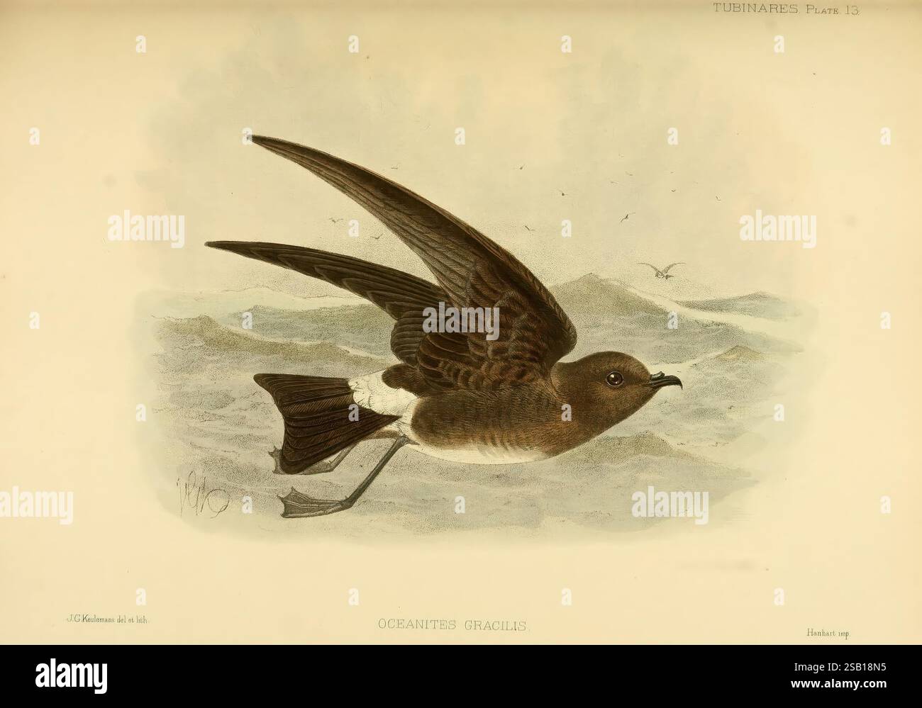 Gentle waves lap wide hi-res stock photography and images - Alamy