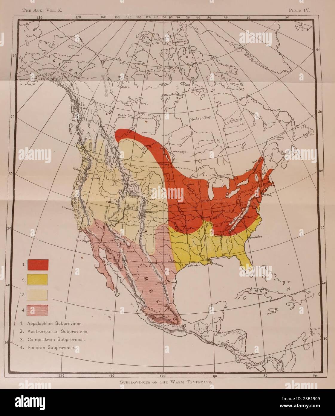 The Auk, Washington, D.C, American Ornithologists' Union, 1884, birds ...