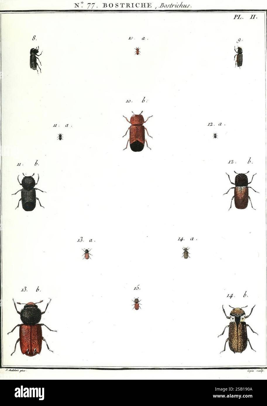 Entomologie, ou, Histoire, naturelle, des, insectes, Paris, Imp ...
