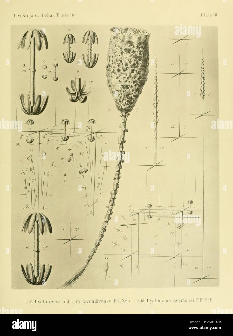 Royal indian marine survey ship investigator calcutta printed hi-res ...