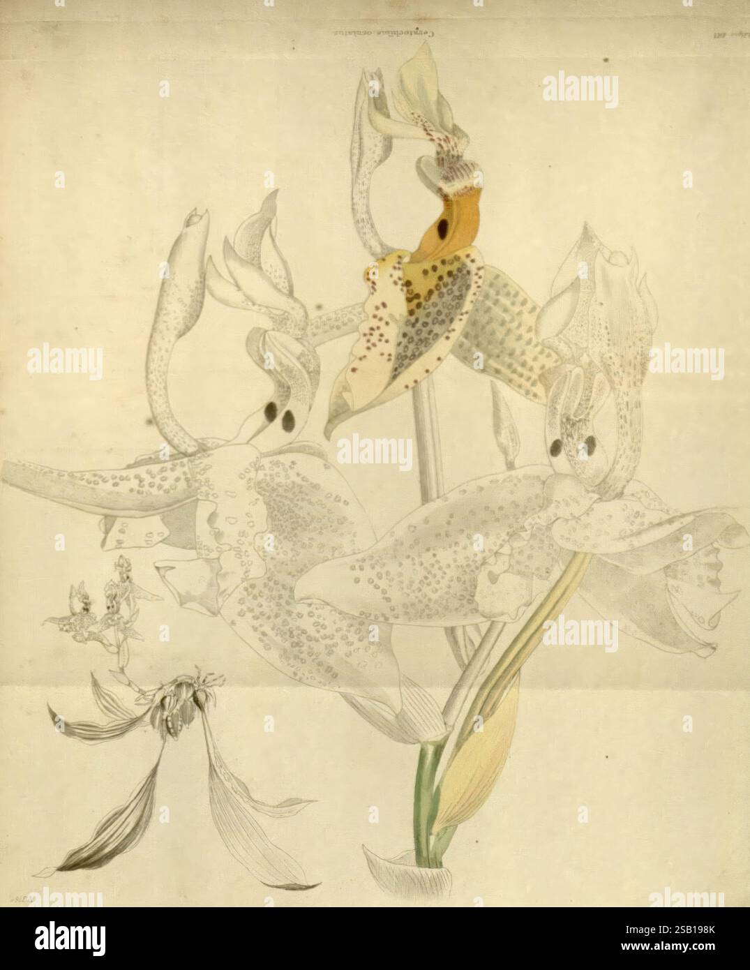 Shading create depth hi-res stock photography and images - Alamy