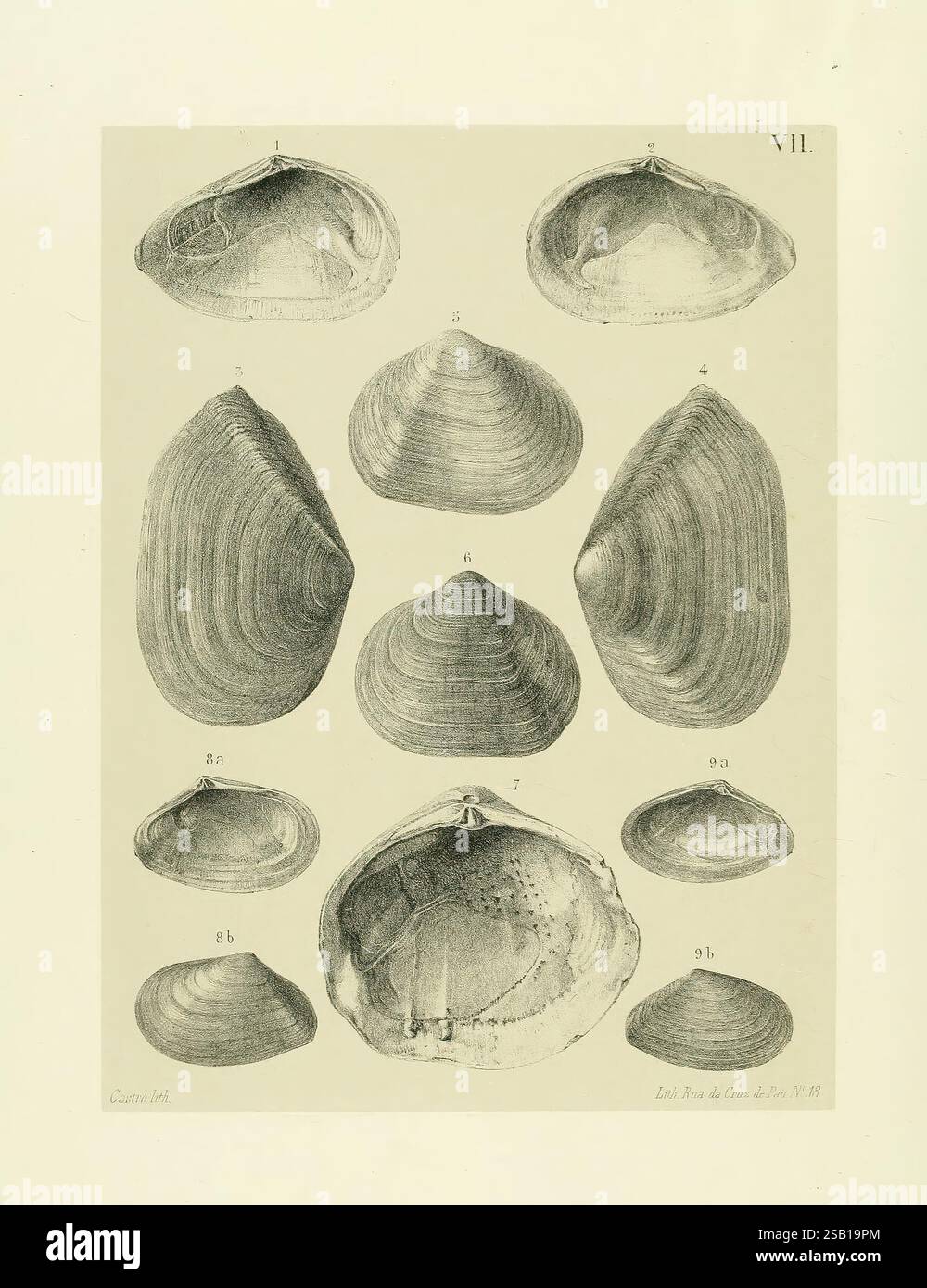 Significance levels hi-res stock photography and images - Alamy