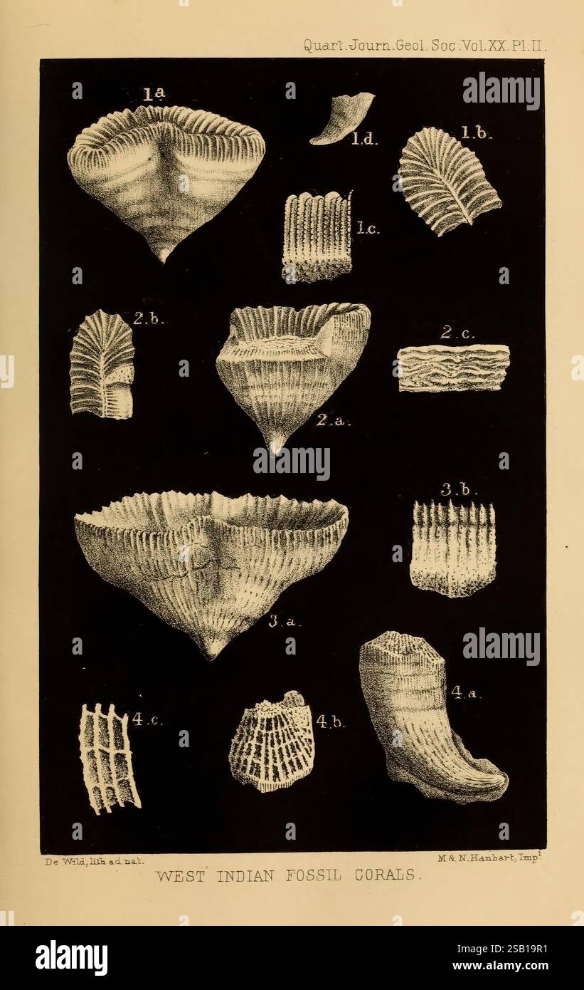 The Quarterly Journal of the Geological Society of London, v. 20 (1864 ...