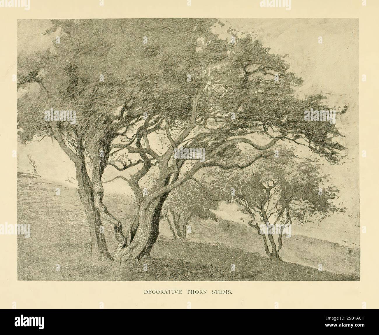 Sense of movement within nature hi-res stock photography and images - Alamy