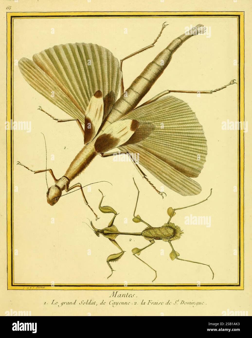 Highlighting two large sections hi-res stock photography and images - Alamy