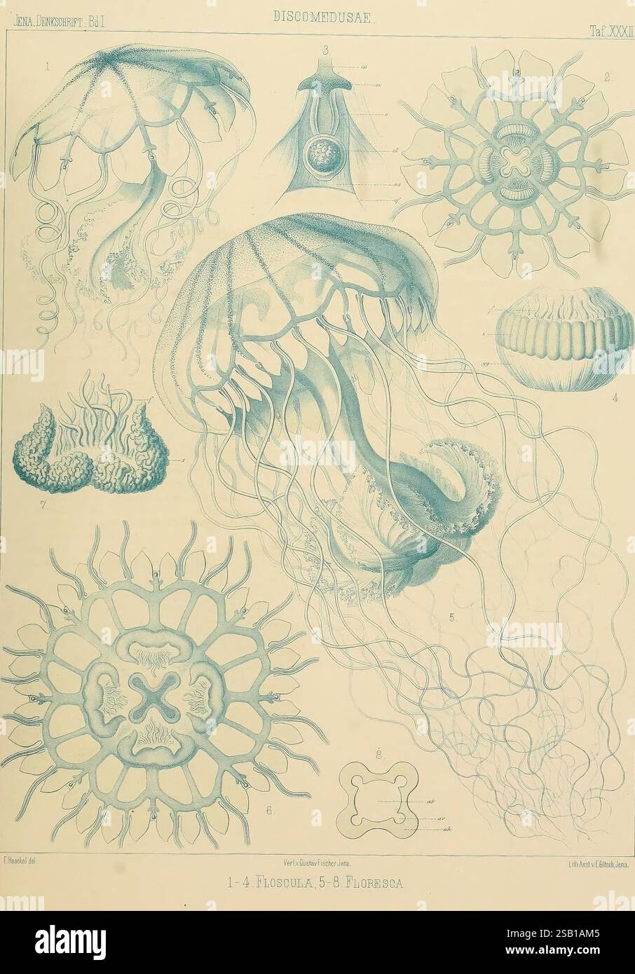 Ethereal illustration featuring hi-res stock photography and images - Alamy