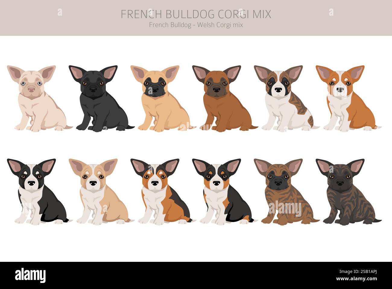 French Bulldog Corgi clipart. French Bulldog - Welsh Corgi mix. All ...