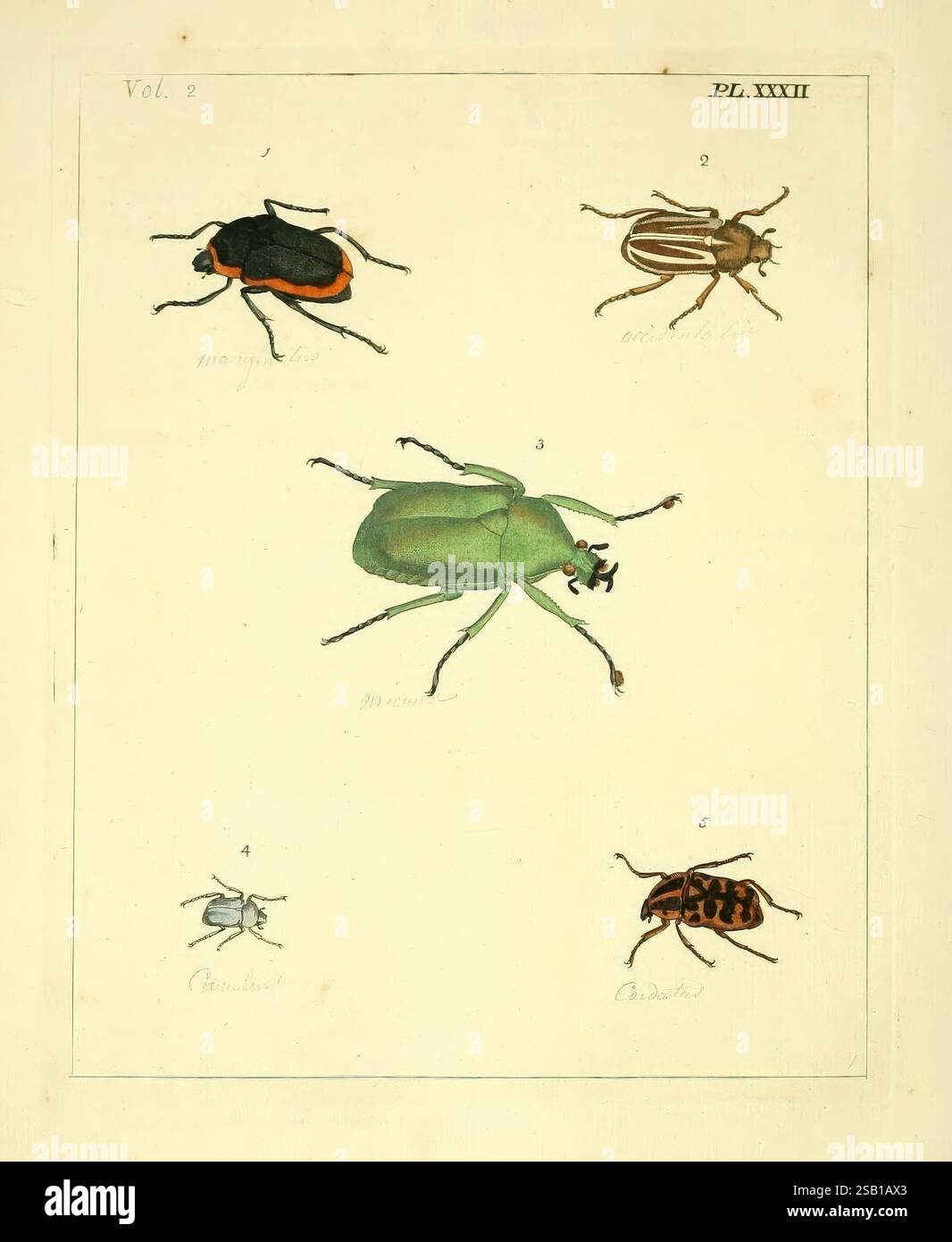 Illustrations of Natural History London, Printed for the Author and ...