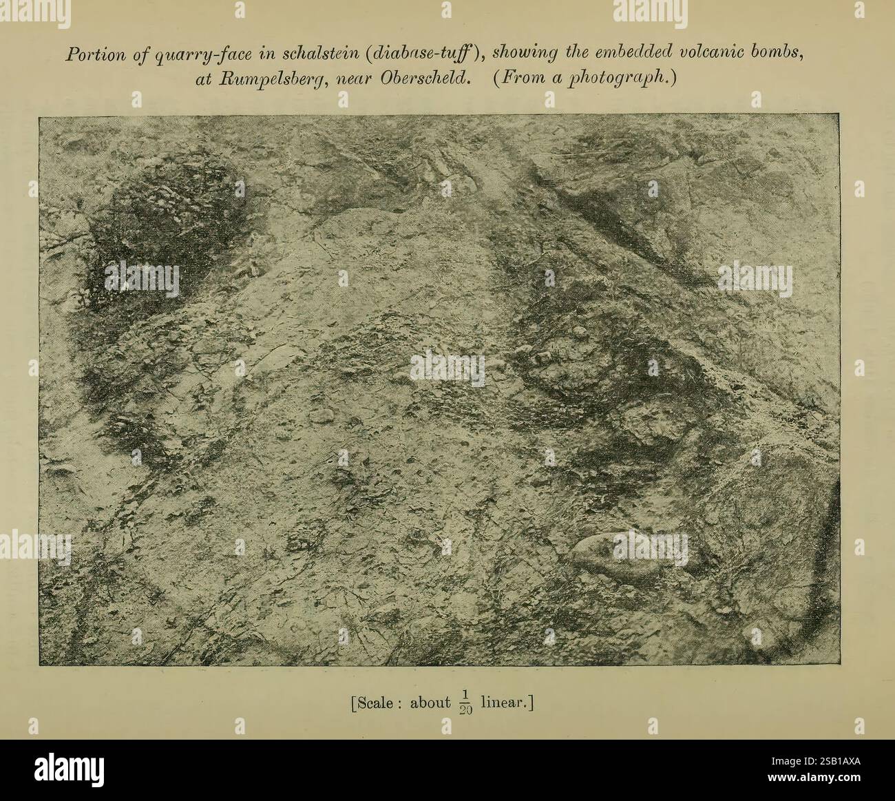 Surface features prominent markings hi-res stock photography and images ...