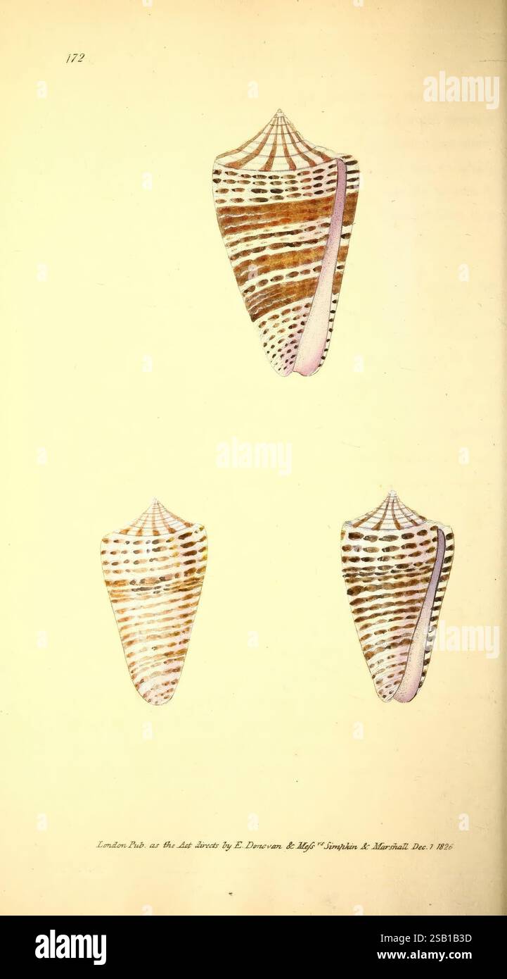 Prominent vertical line hi-res stock photography and images - Alamy