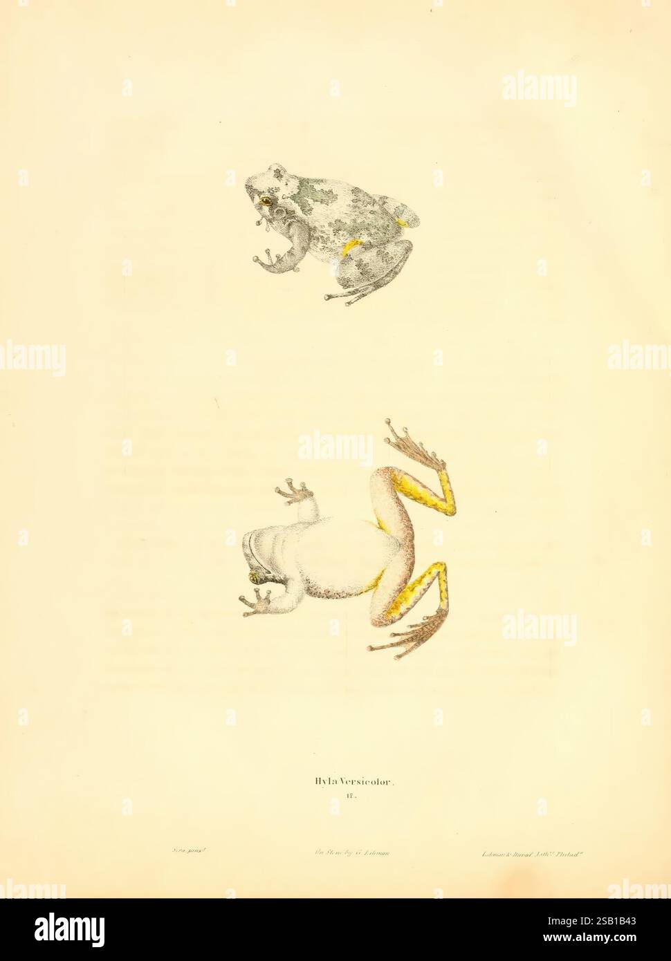 Nomenclature pertinent hi-res stock photography and images - Alamy