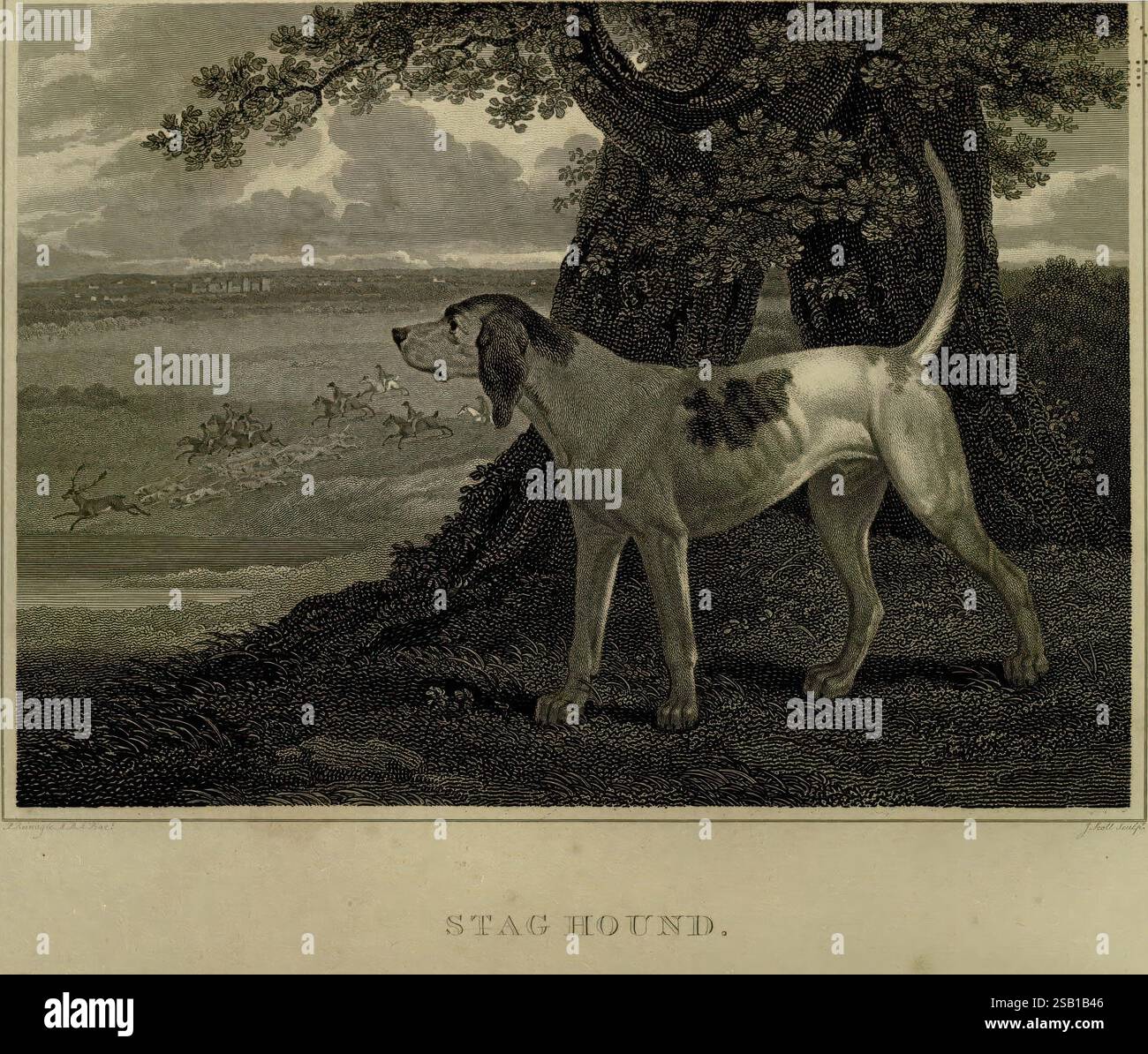 The sportsman's repository London, Henry G. Bohn, 1845. dogs, horses ...