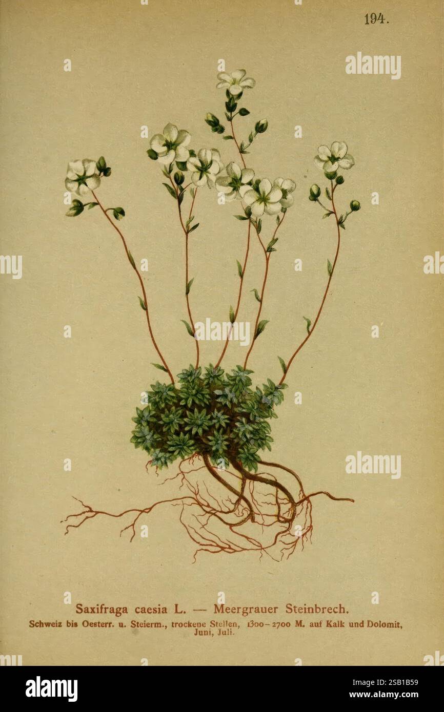 2700 meters elevation hi-res stock photography and images - Alamy