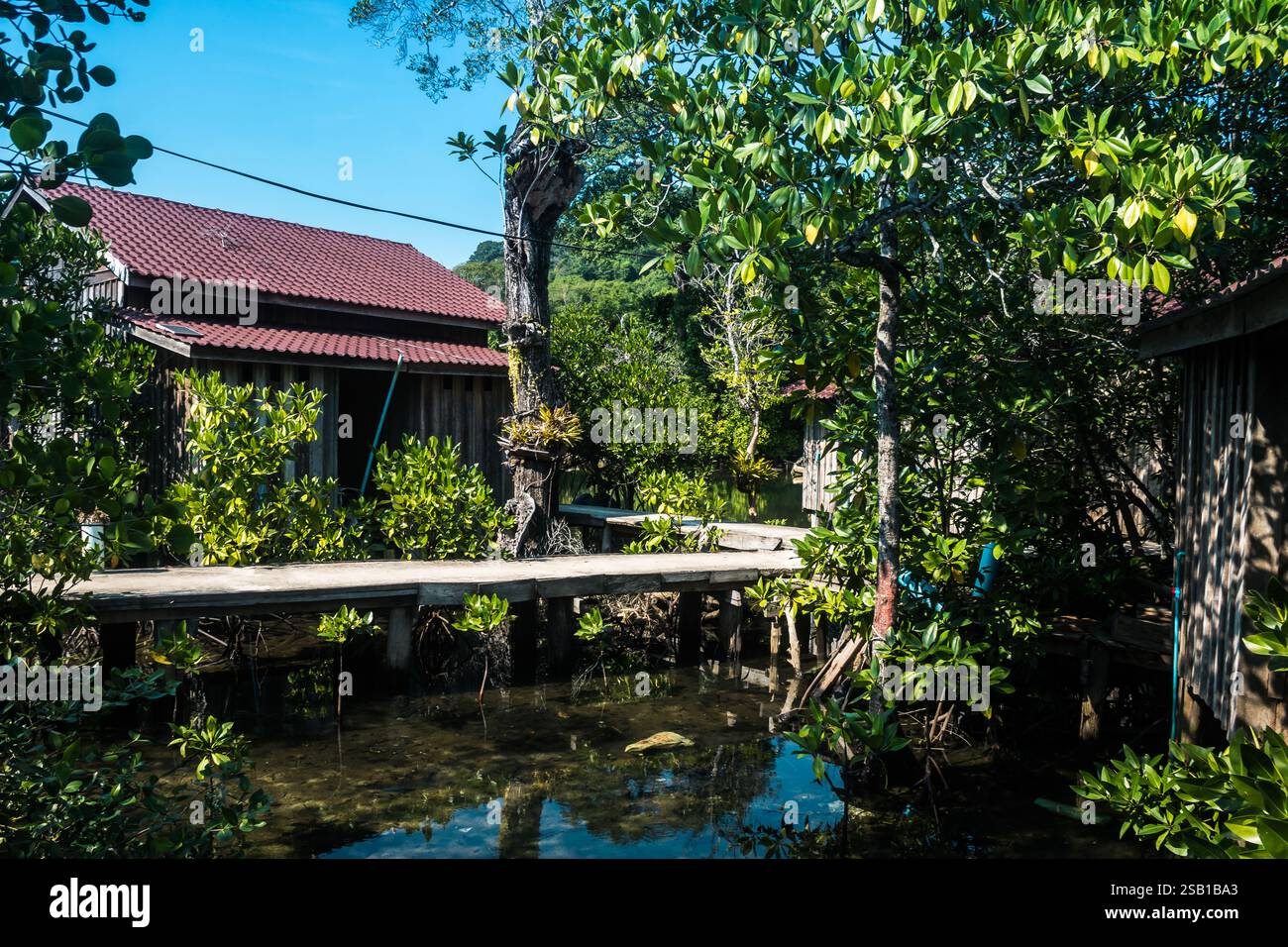 Preak Svay, Koh Rong Island, Cambodia, January 30, 2025 Daily life in ...