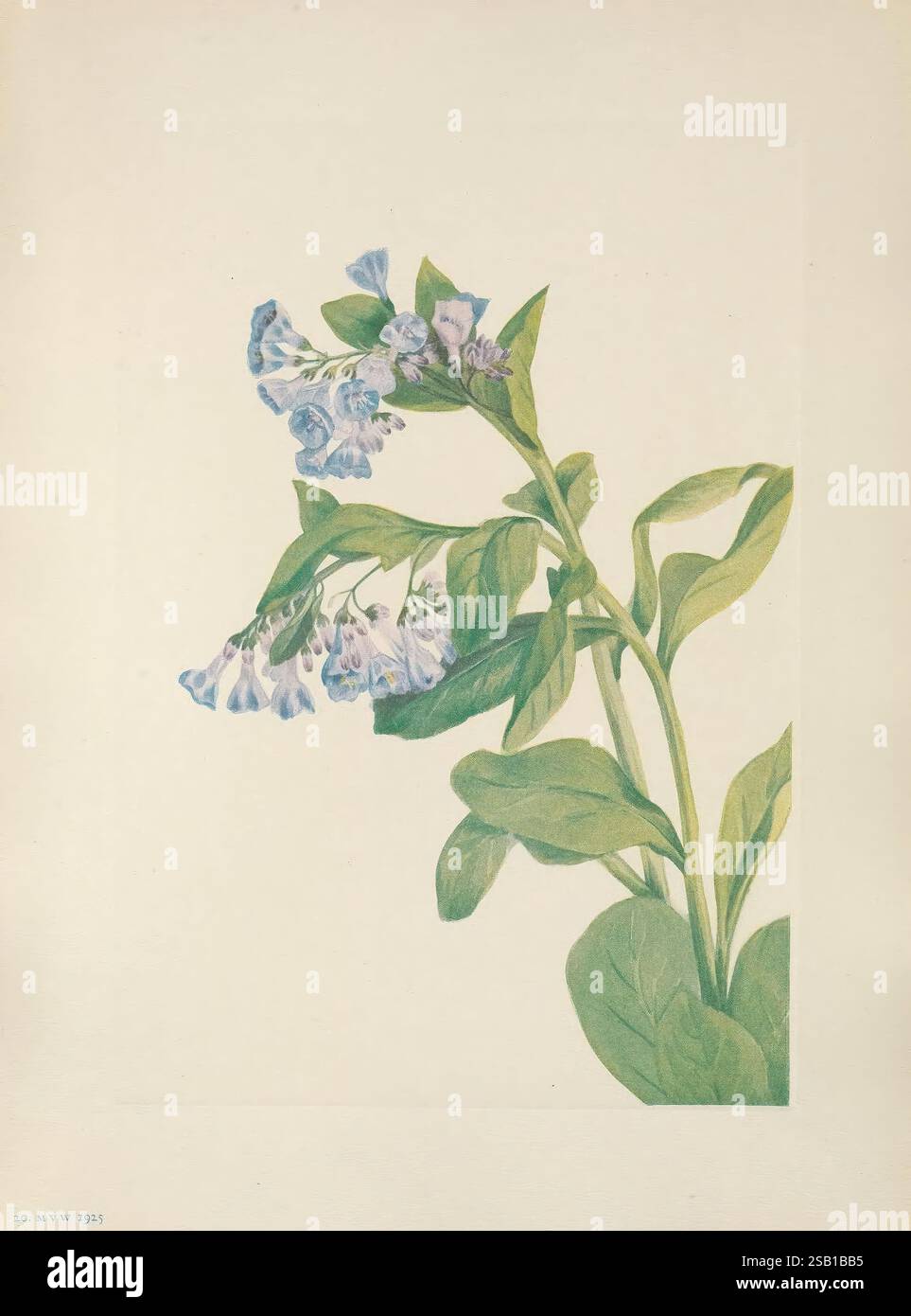 Unique tonal variations hi-res stock photography and images - Alamy