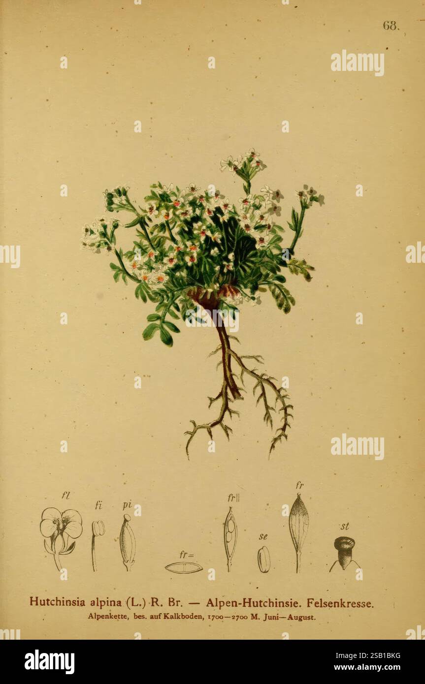 Presented alongside annotated diagrams hi-res stock photography and ...