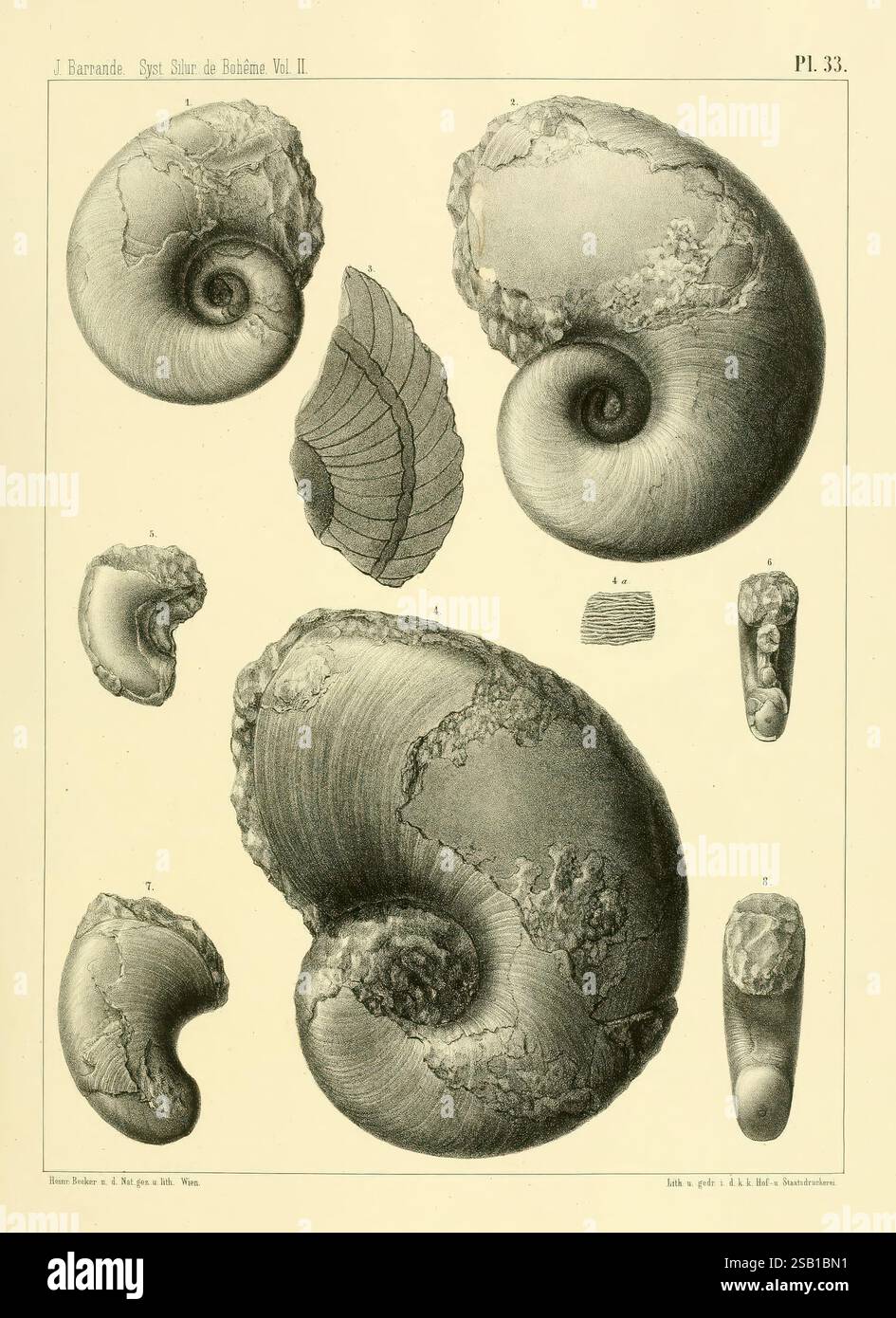 Systeme silurien du centre de la Boheme, Prague, Chez l'auteur, 1852 ...