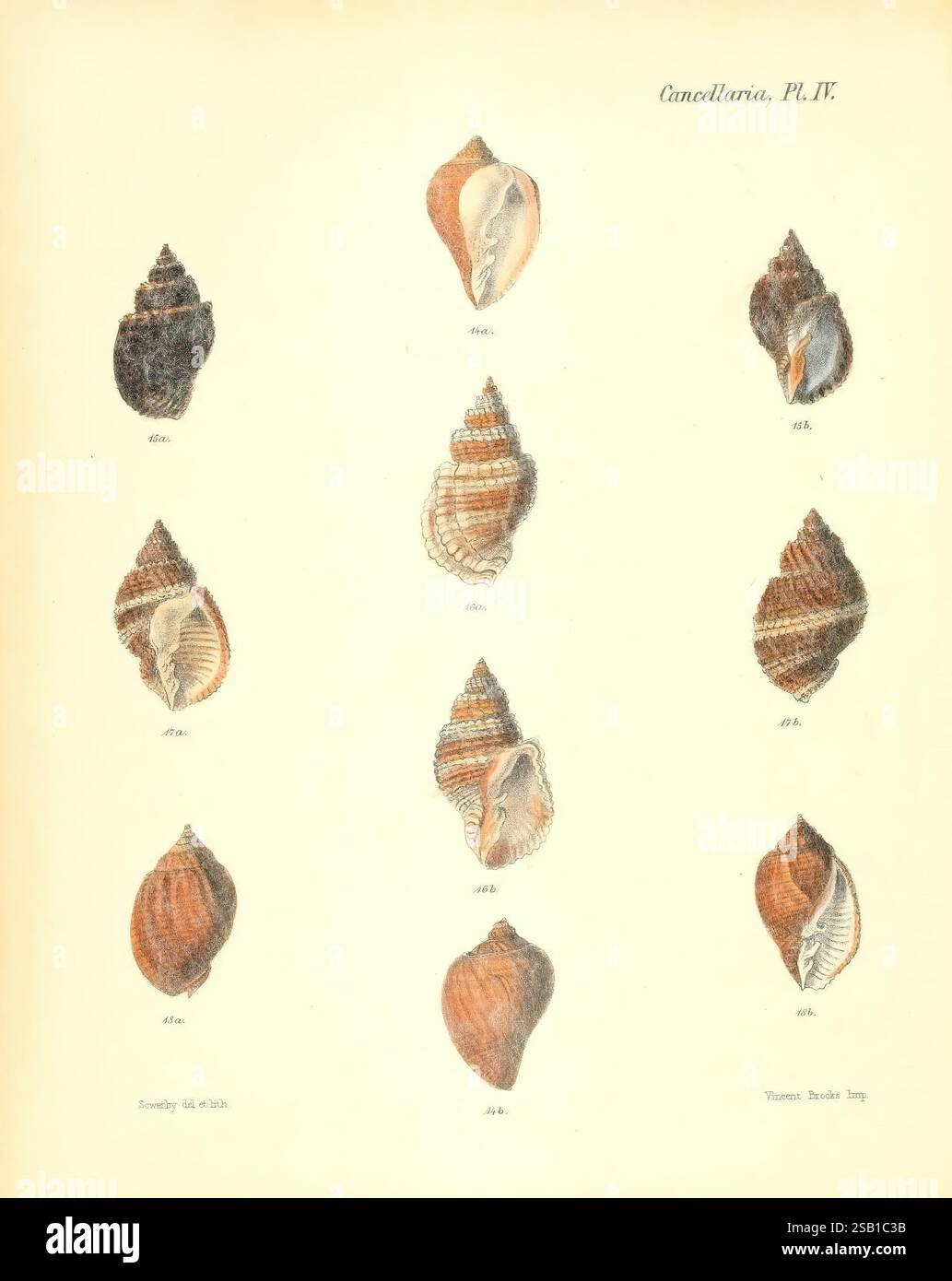 Depictions exemplify hi-res stock photography and images - Alamy