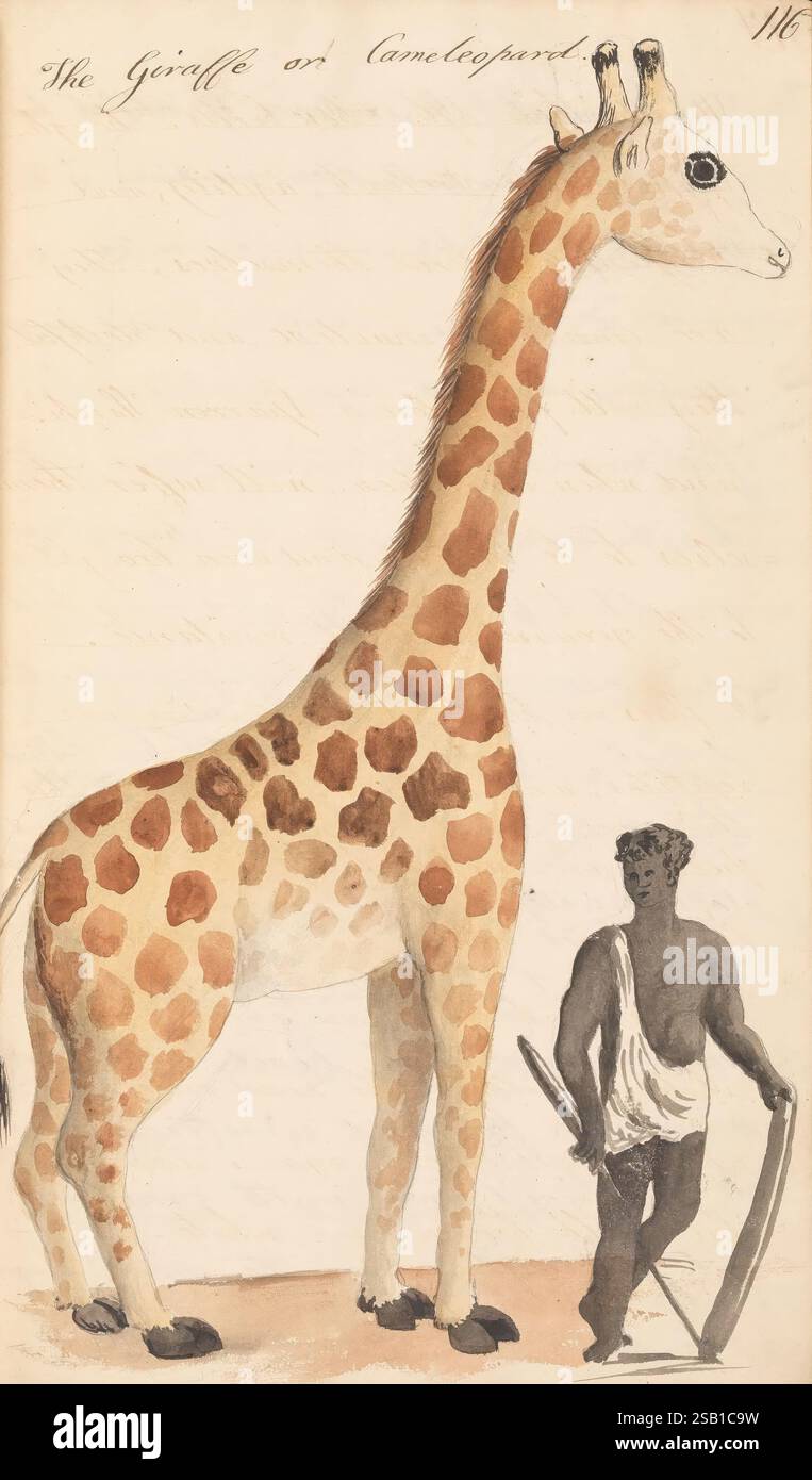 Mans posture hinting hi-res stock photography and images - Alamy