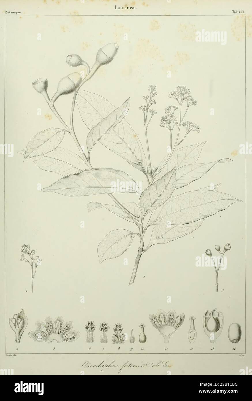 Various diagrams illustrate hi-res stock photography and images - Alamy