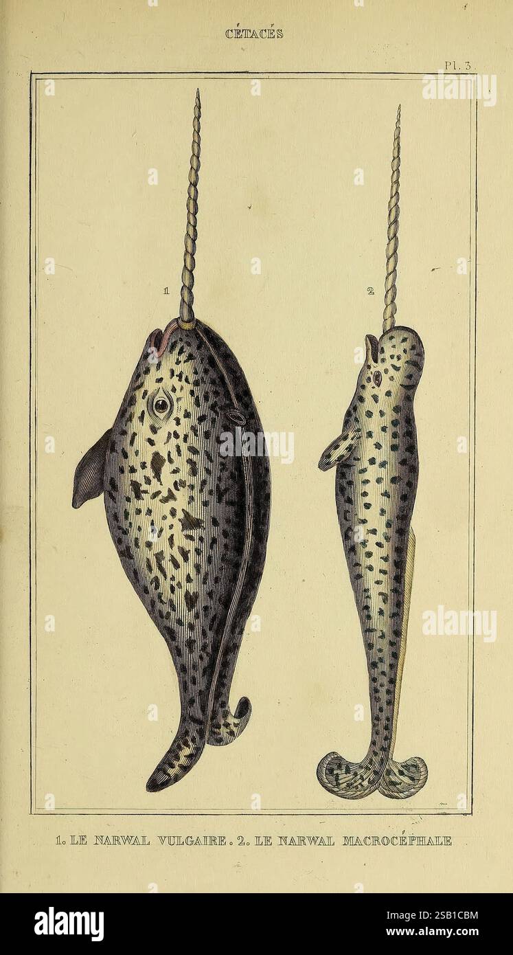 Oeuvres du comte de Lacépède, Paris, P. Duménil, 1836, natural history ...