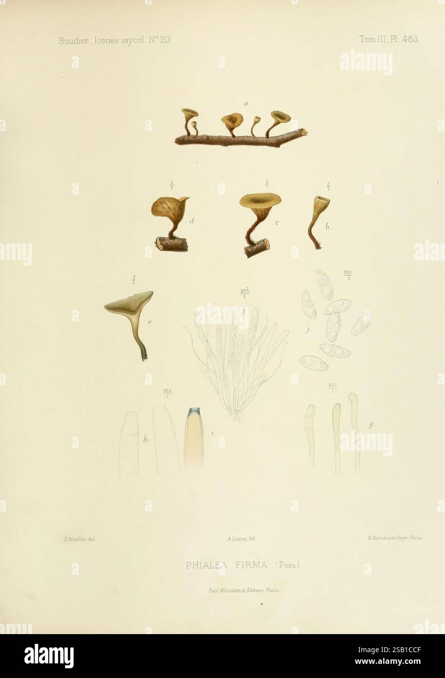 Slender elements illustrate hi-res stock photography and images - Alamy